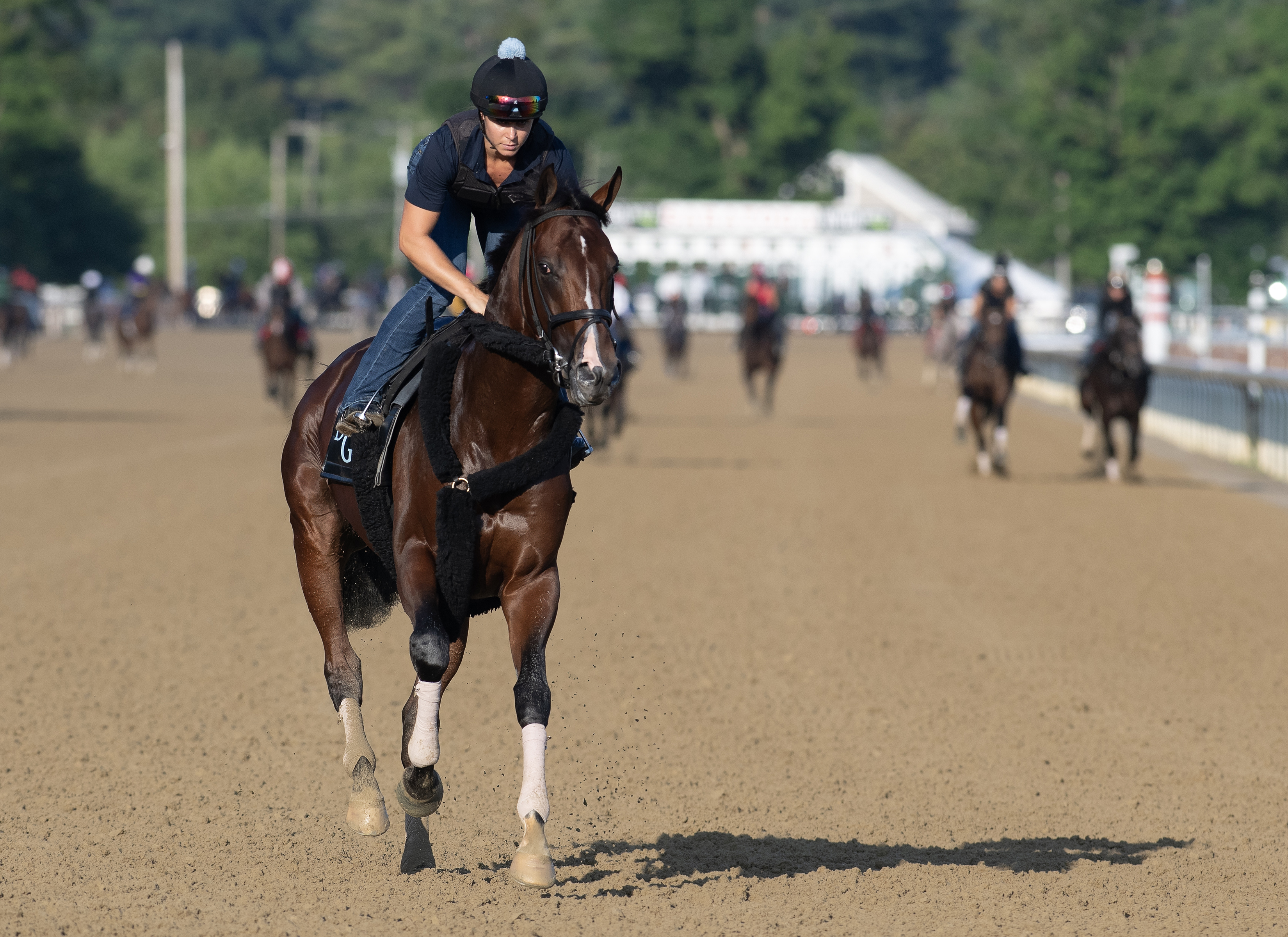 Breeders' Cup Connections: Schaefer Living the Dream with Dornoch