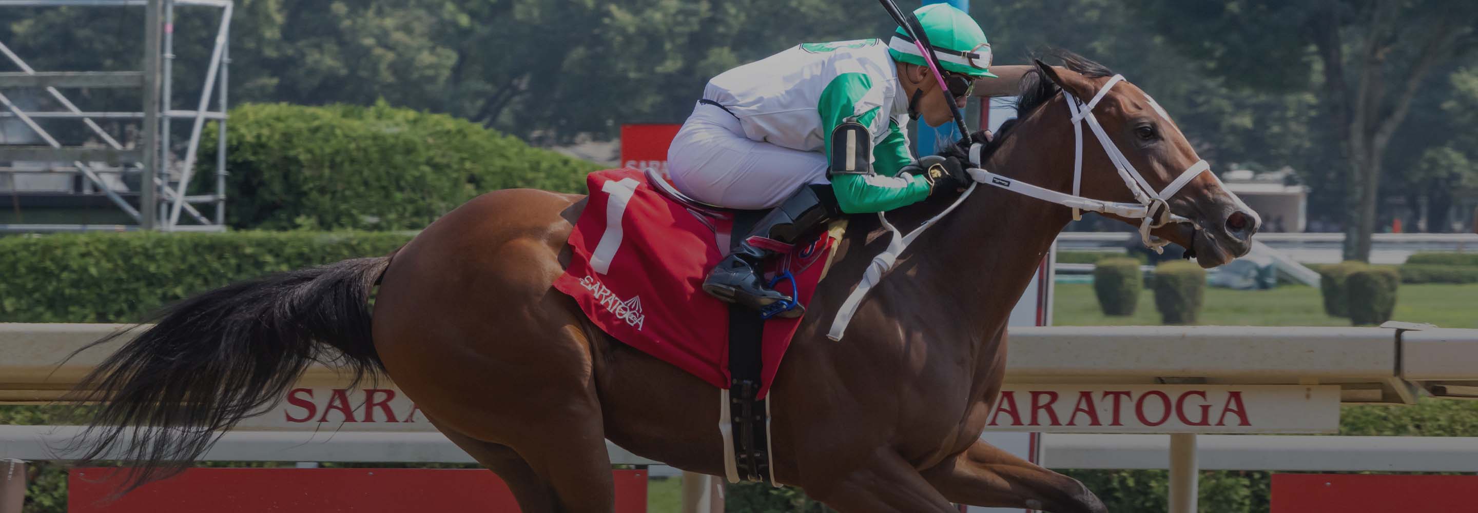 Mythical Seeks Fourth Straight Win in Spinaway