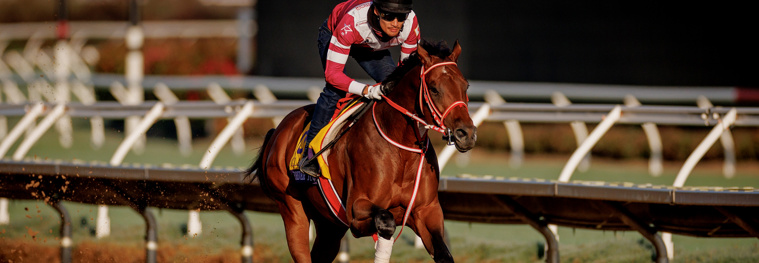 Trainer Believes Forever Young Can Shape Japan Racing