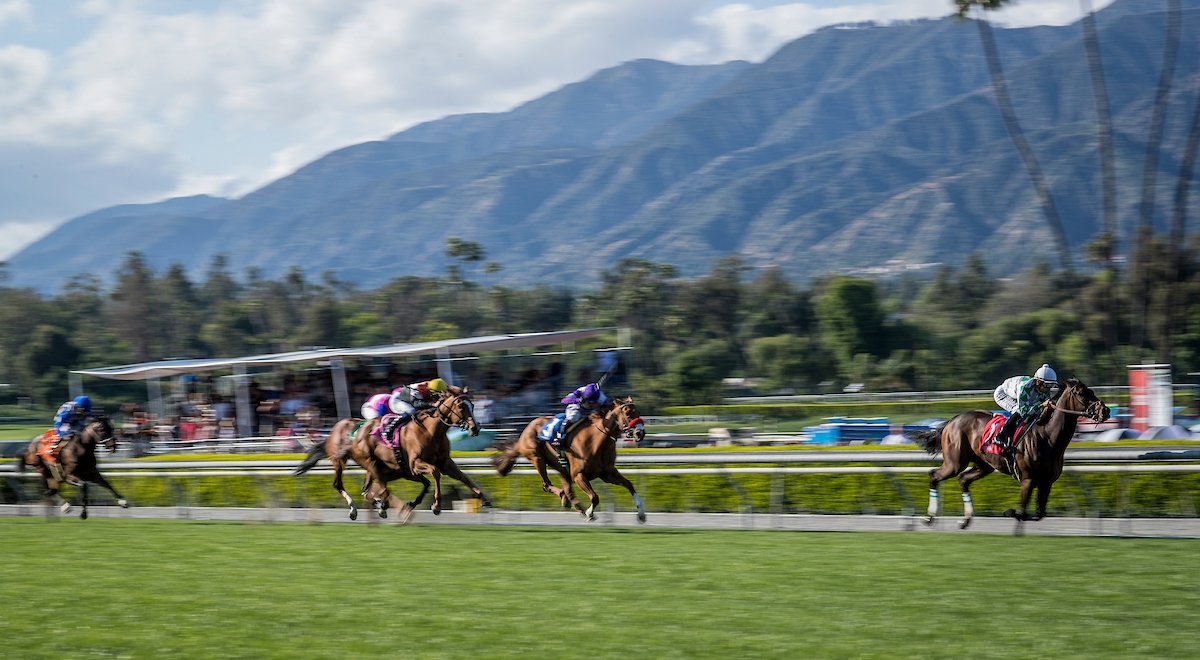 Popular California Cup Day Saturday