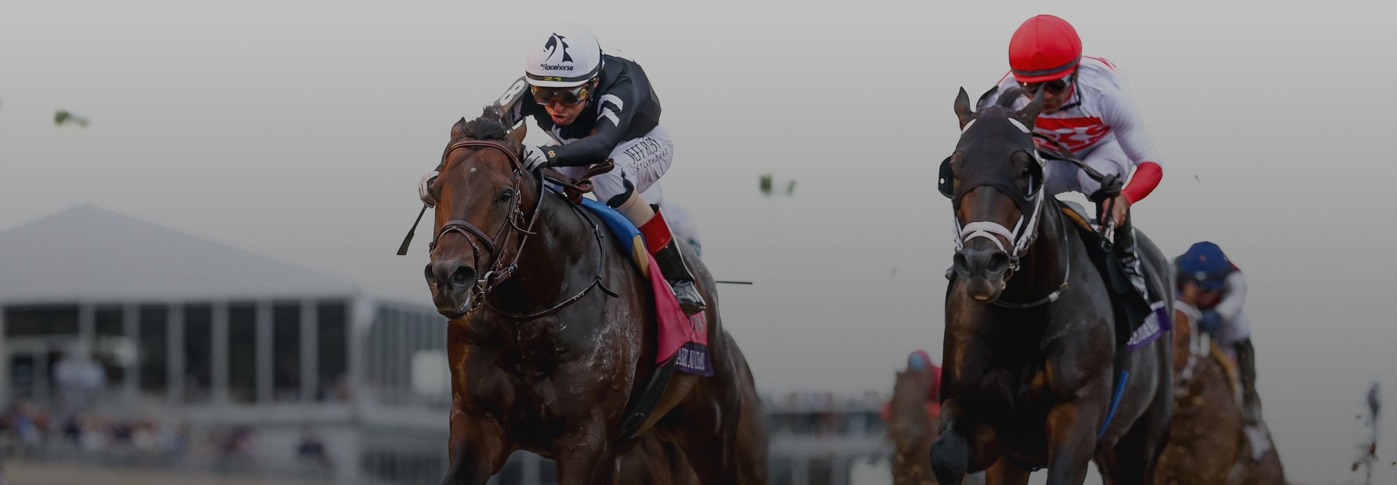 Straight No Chaser Chases Second SA Sprint Championship