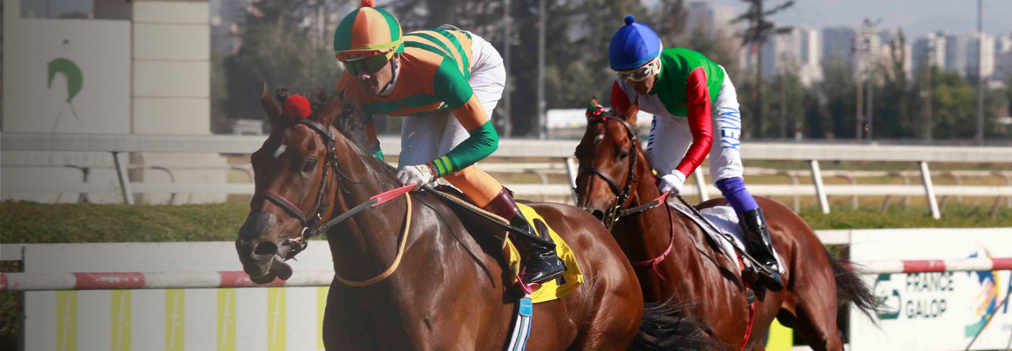 Frateli La Vita Headlines Gran Premio Club Hípico Falabella