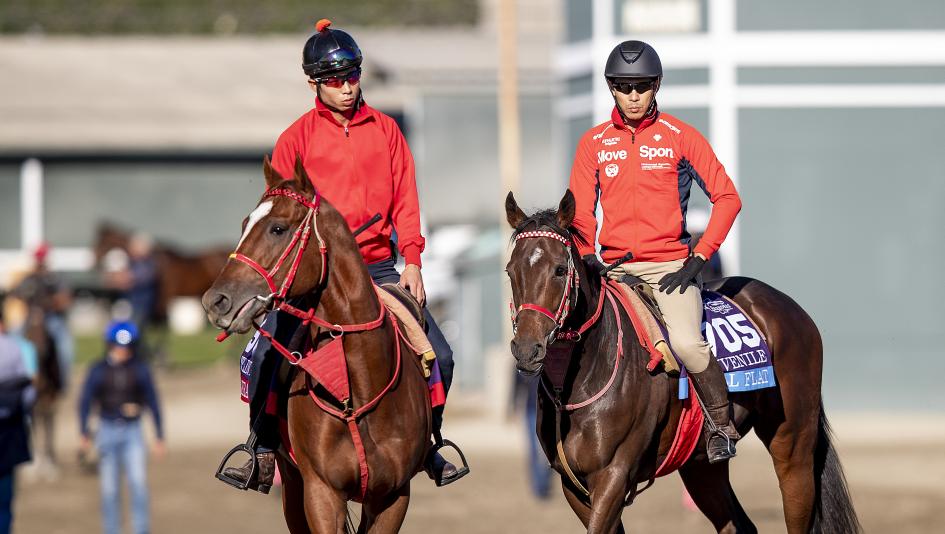 International Horses to Know for Breeders’ Cup Saturday