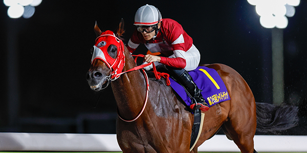 Forever Young Aces Japan Prep for Breeders' Cup Classic