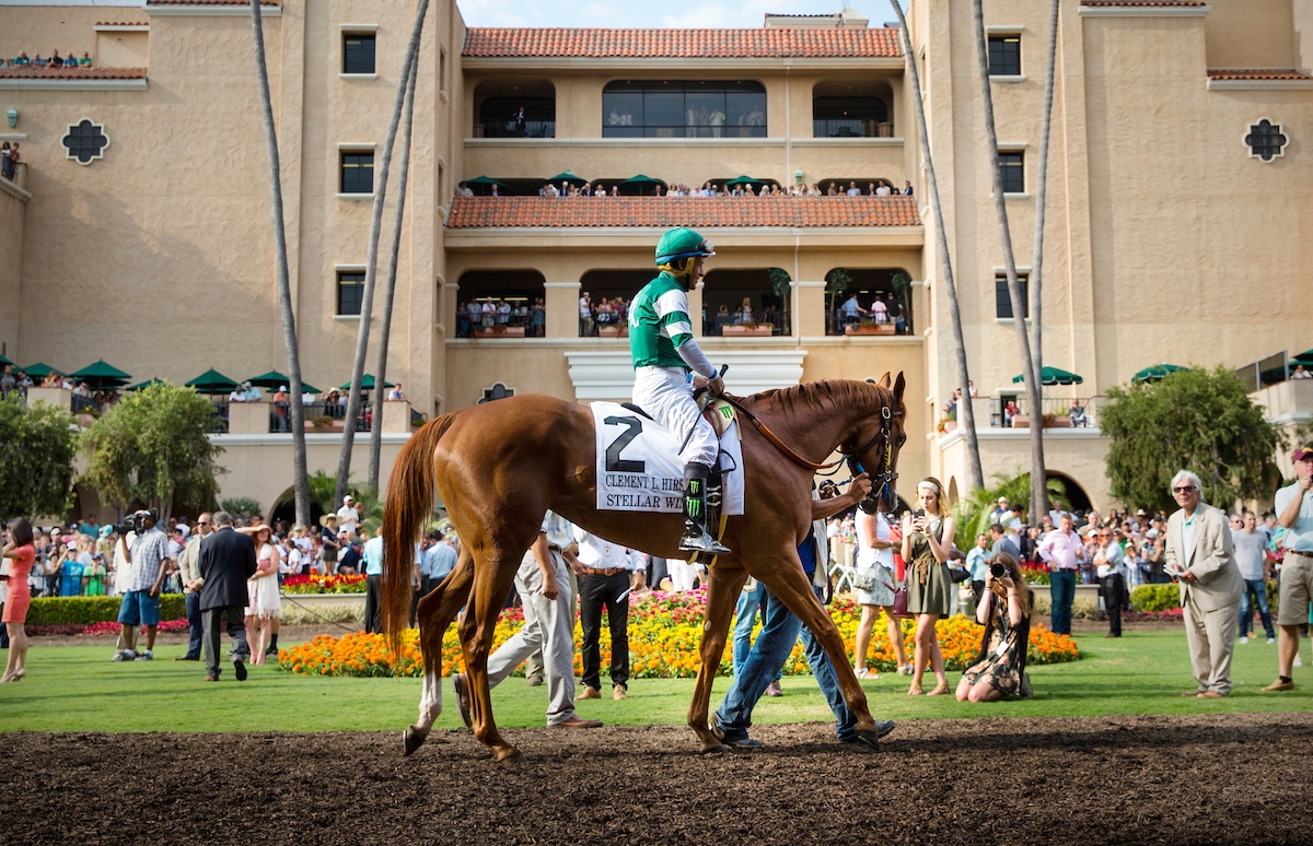 Longines Distaff Promises to Be Deciding Factor in Championship Battles