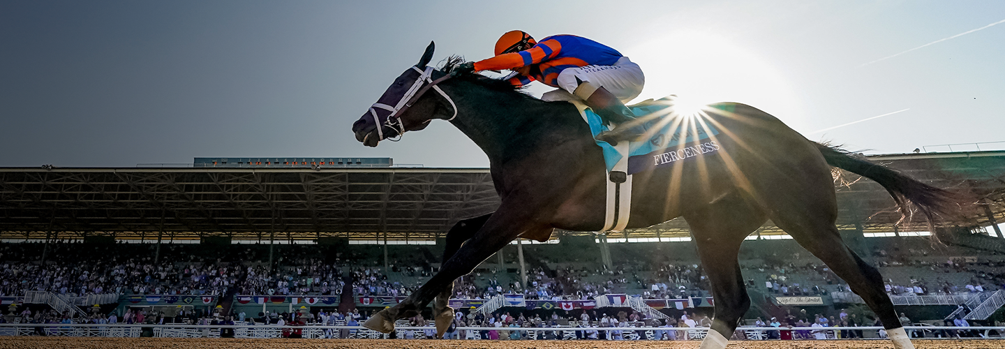 FIERCENESS LEADS FINAL LONGINES BREEDERS’ CUP CLASSIC RANKINGS