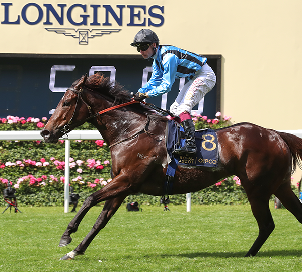 ASFOORA & BIG EVS REOPPOSE IN NUNTHORPE STAKES