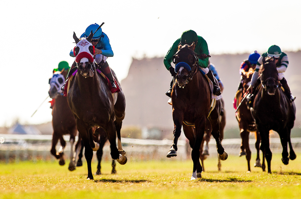Full Field Ready to Fly in Juvenile Turf Sprint