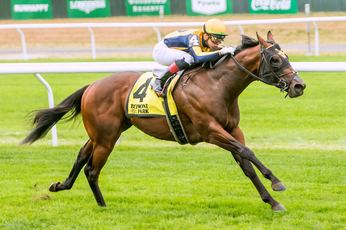 Four Wheel Drive Too Strong in Futurity
