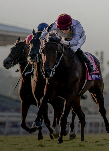 UNQUESTIONABLE GIVES MOORE AND O’BRIEN SIXTH BREEDERS’ CUP JUVENILE ...