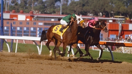 Breeders' Cup 40 Years