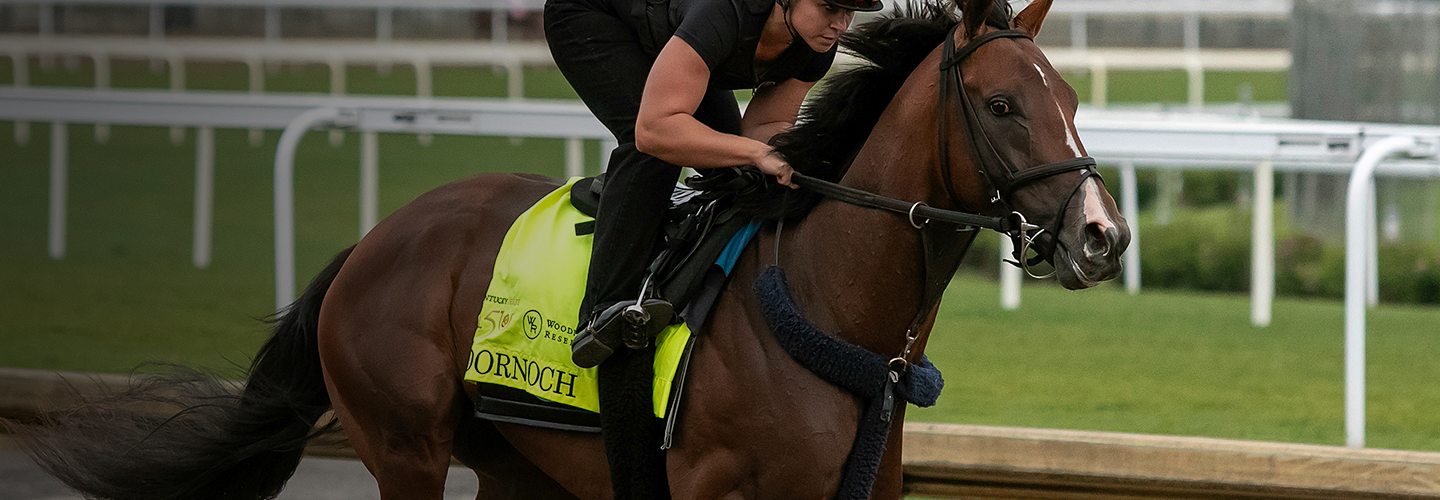 Breeders' Cup Connections: Schaefer Living the Dream with Dornoch