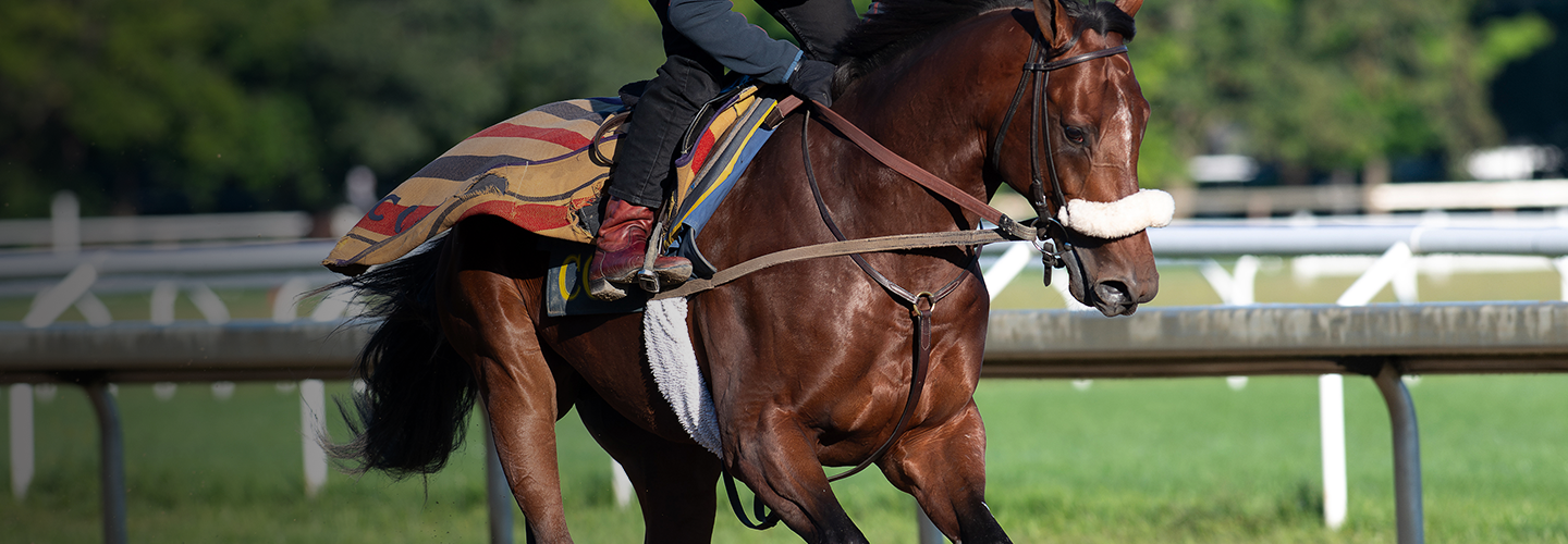 Breeders' Cup Connections: Former Jockey Lee Vickers Living for the ...