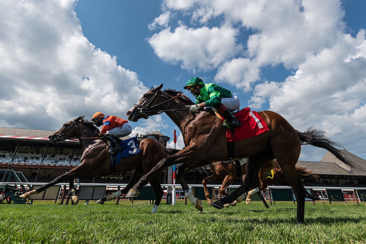 American Monarch Crosses the Border for Major Test