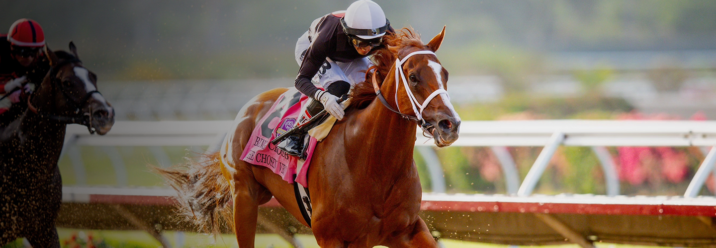 The Chosen Vron Easily Defends His Title in Bing Crosby