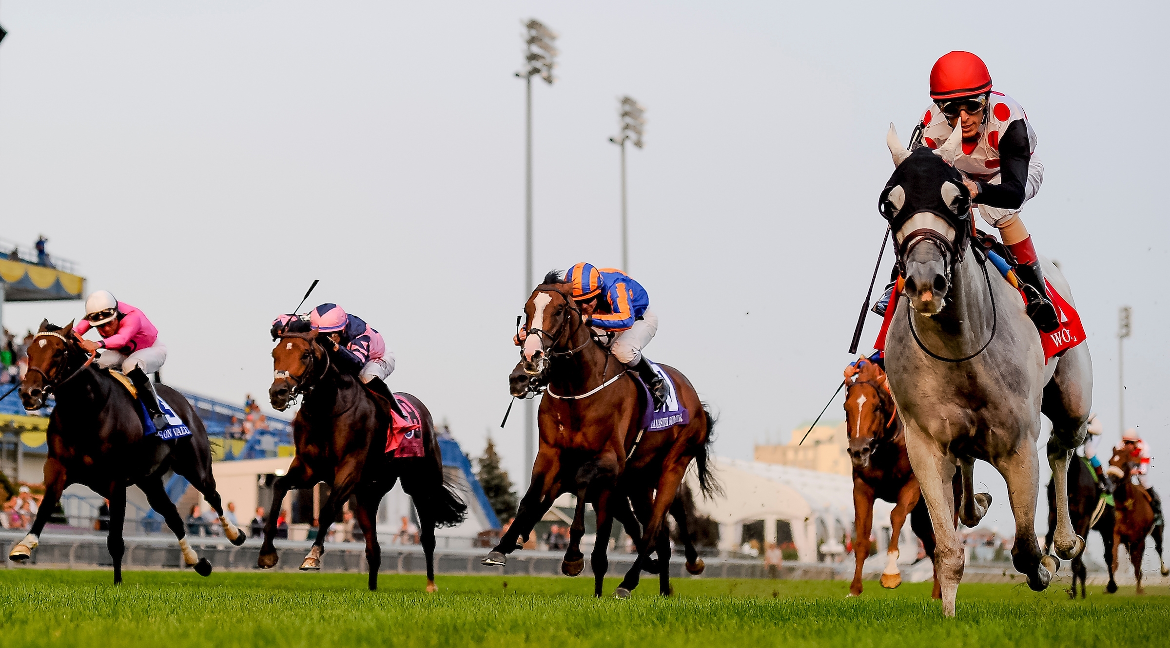 Road to the Breeders’ Cup: Crucial Preps at Woodbine, Churchill Road to the Breeders’ Cup: Crucial Preps at Woodbine, Churchill
