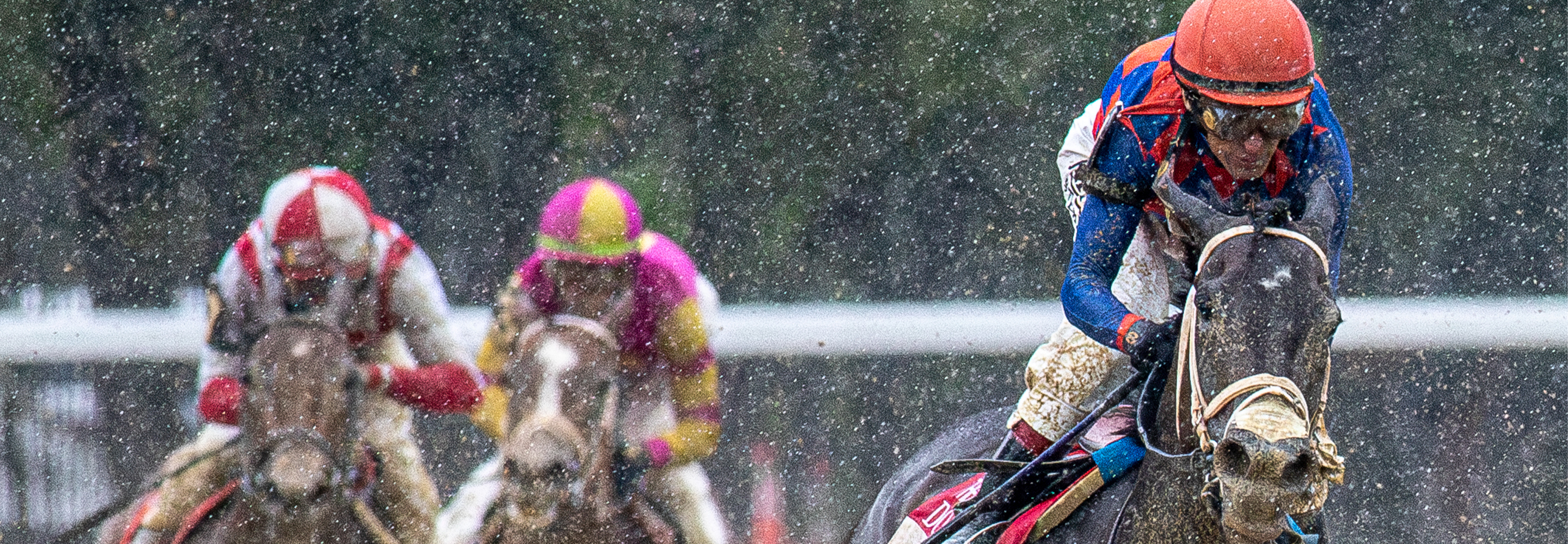 Dorth Vader Springs the Upset in Ogden Phipps