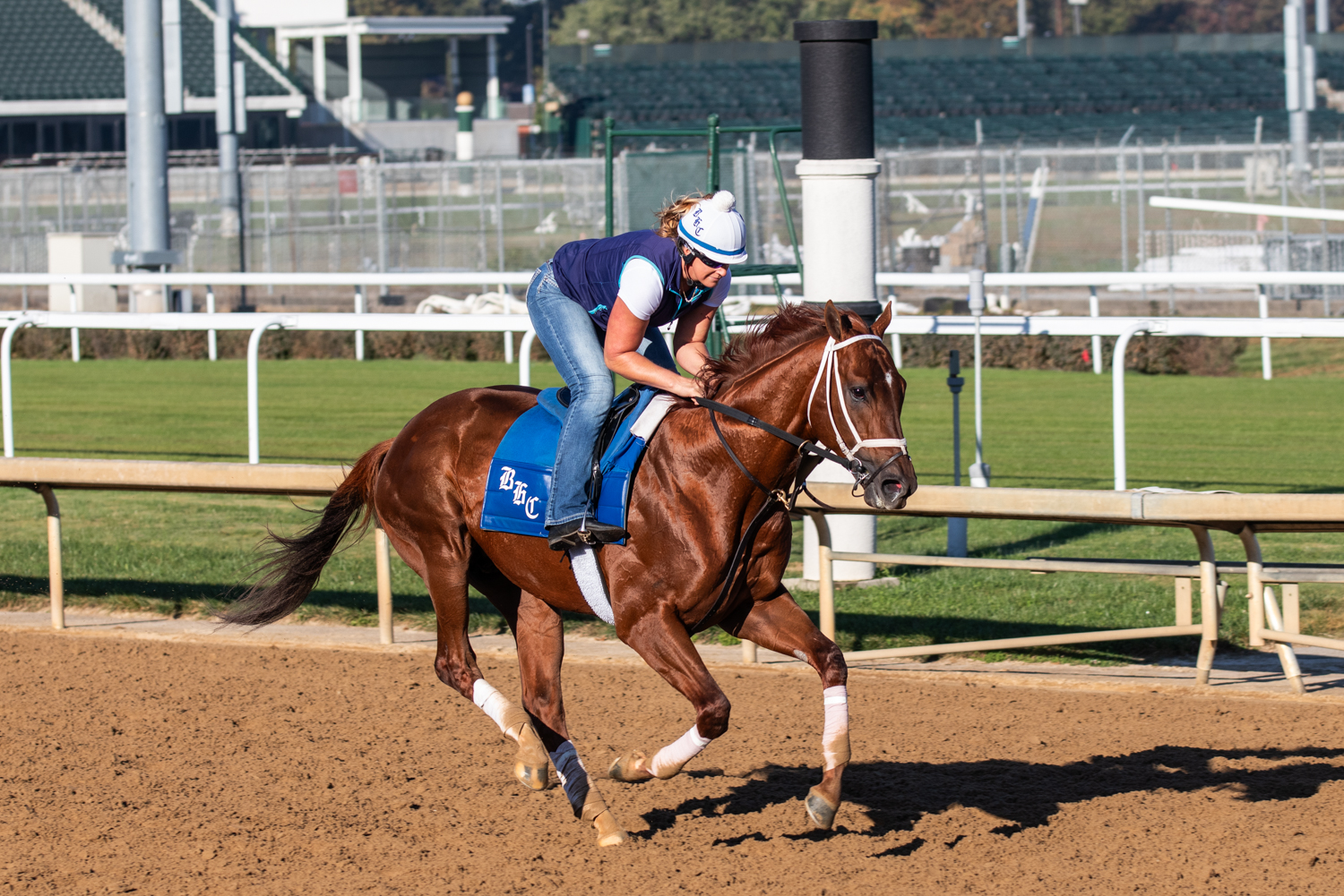 Breeders' Cup Connections: Katie Tolbert, Building the Foundation for ...