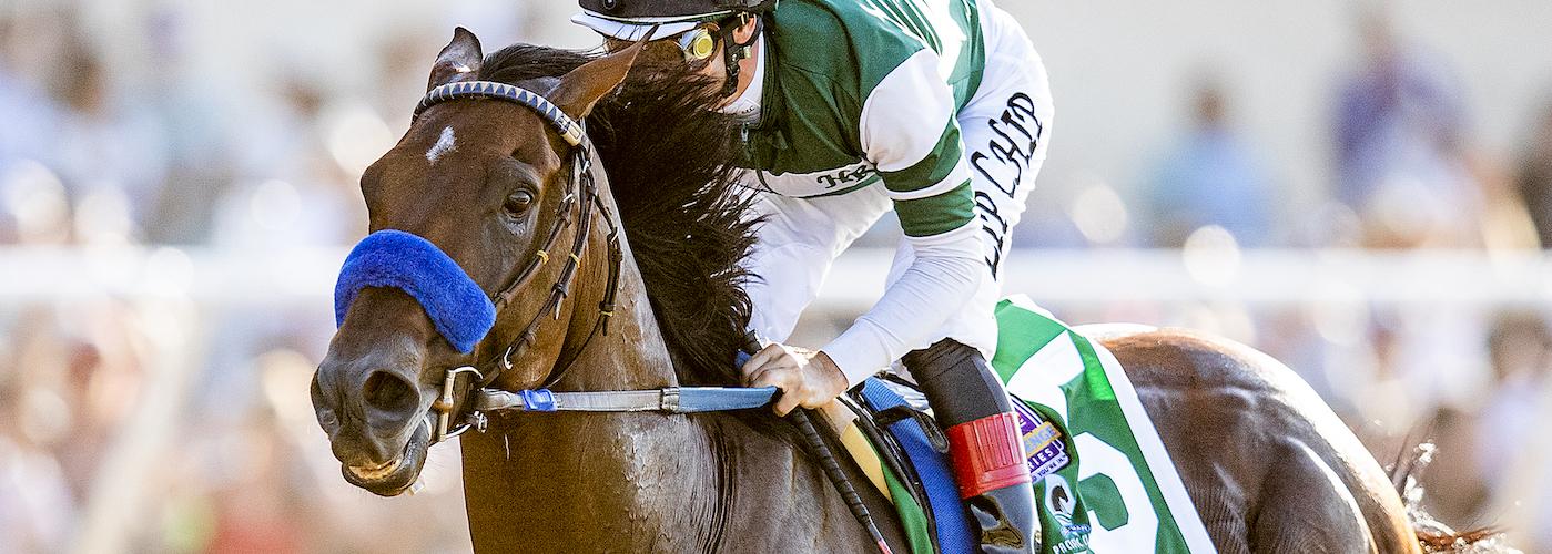 Flightline Retains No. 1 Status in Latest Longines Breeders' Cup ...