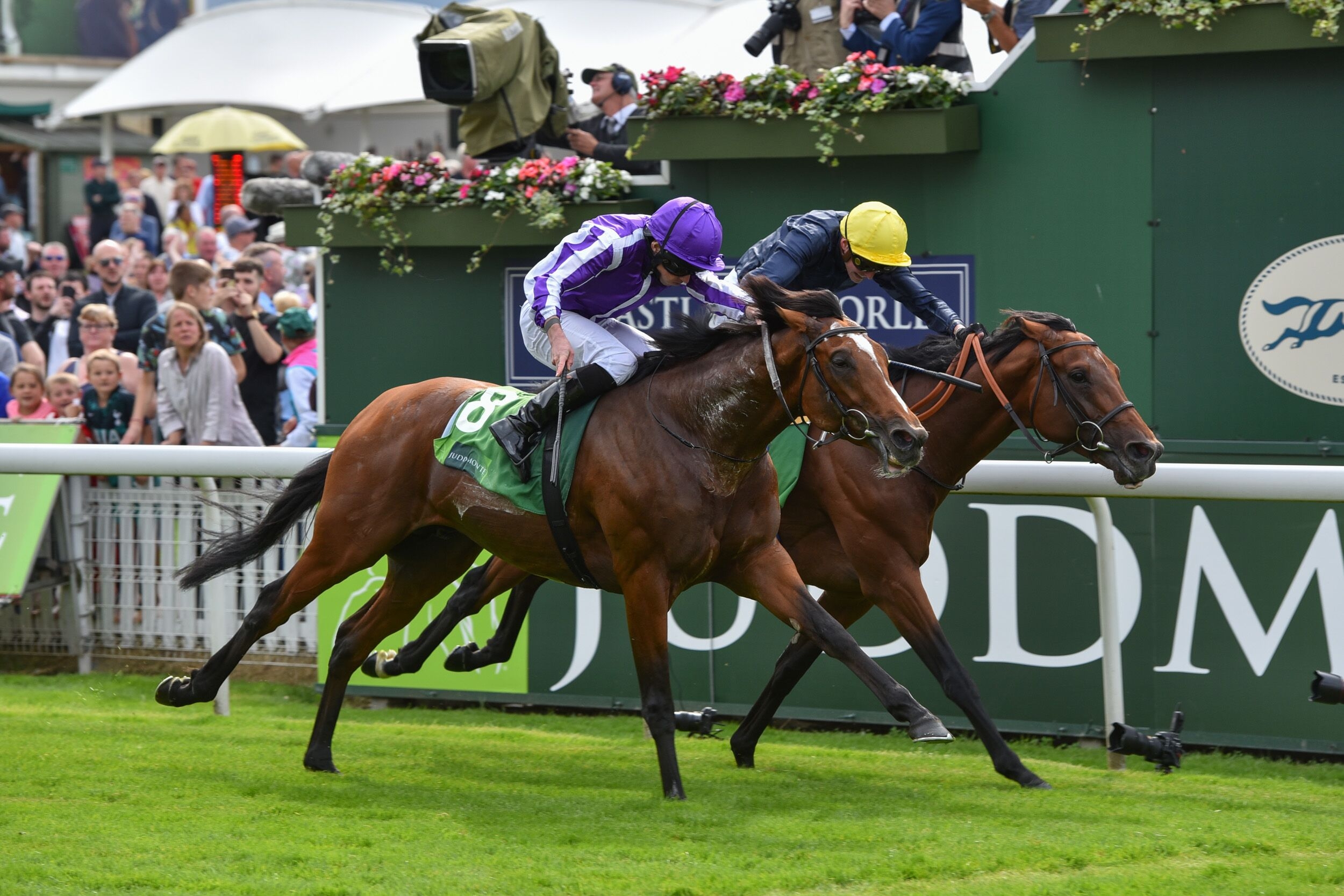 Japan Bests Crystal Ocean at the Wire to Win Juddmonte International at ...