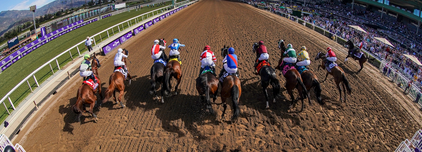 Learn the Language of Horse Racing: Terms and Phrases to Know for the ...