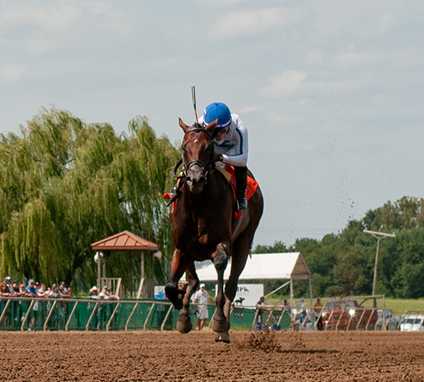 Derby Trail Begins with Owen Almighty Leading Iroquois