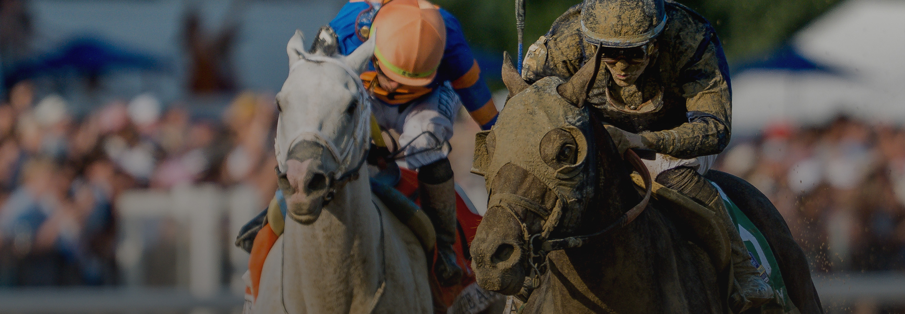 Sierra Leone, Mindframe Tangle in Jockey Club Gold Cup