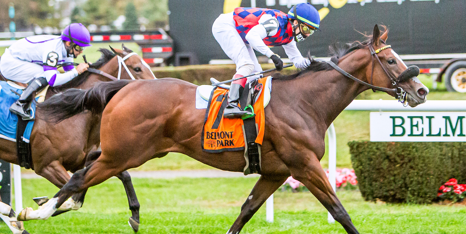 Wesley Ward's Campanelle Pre-Enters Juvenile Fillies Turf