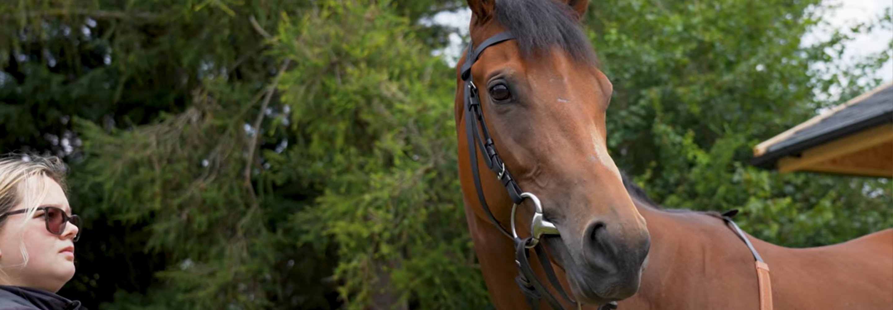 WEST ACRE HEADS TO ROYAL ASCOT WITH BREEDERS’ CUP AMBITIONS