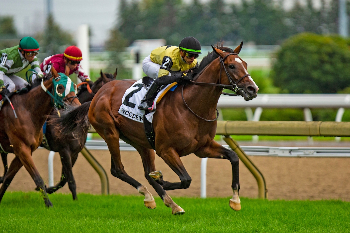 Decorated Invader Scores in Summer