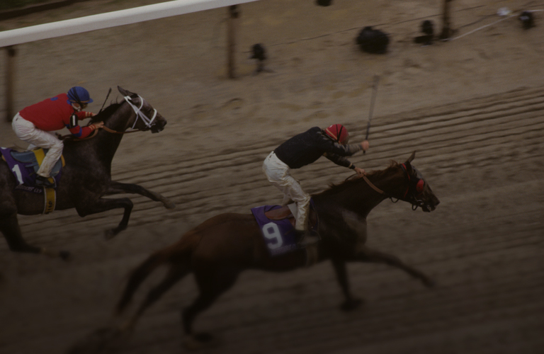 1995 Juvenile Fillies