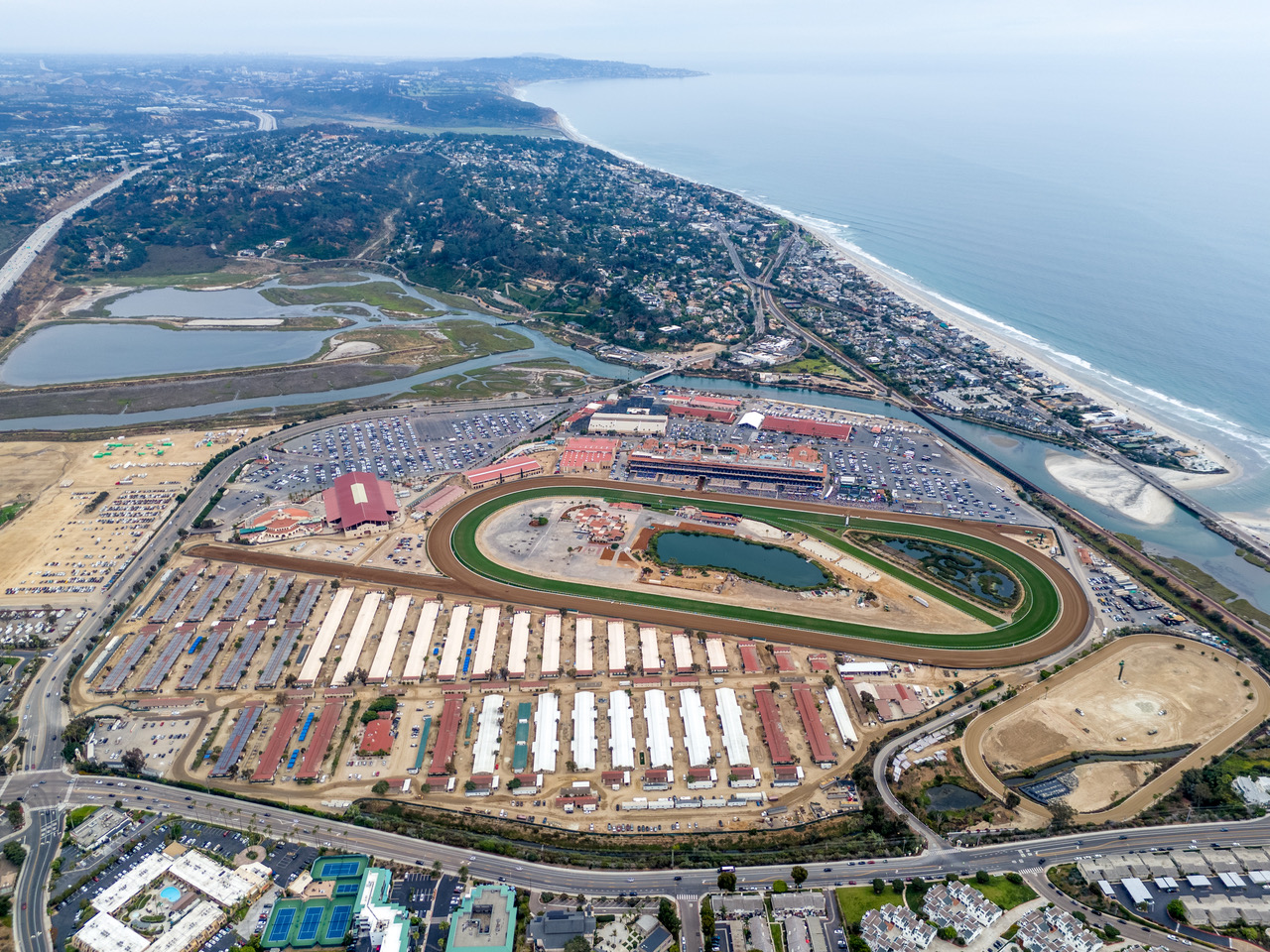 The Legendary Sea Horses of Del Mar