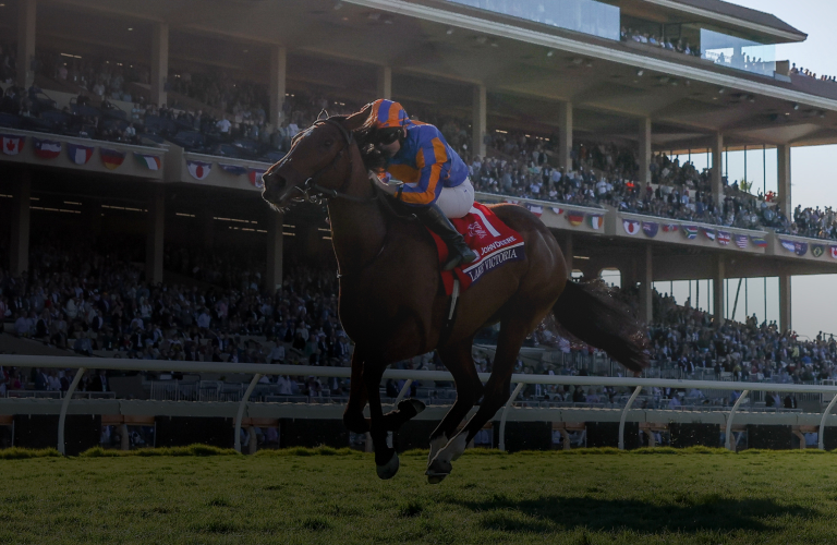 2024 Juvenile Fillies Turf