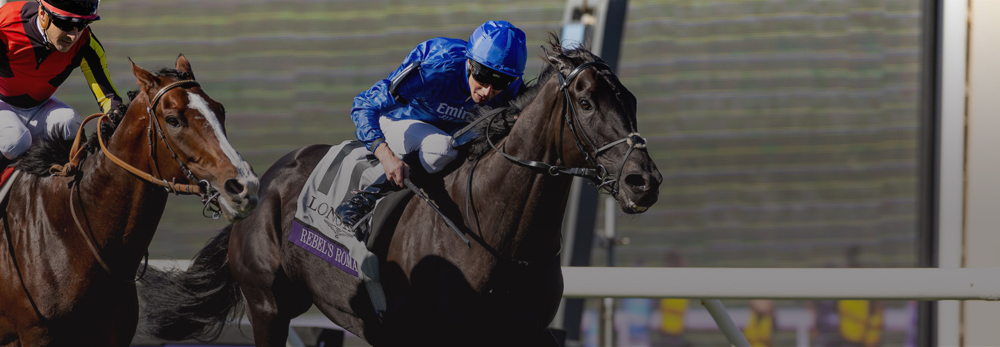 Rebel's Romance Aims for Historic 3rd BC Turf win