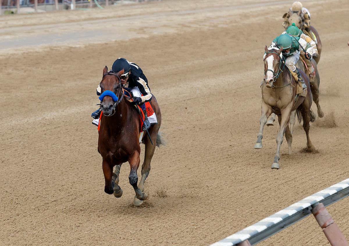 Marley’s Freedom Looks for Five Straight in Filly & Mare Sprint