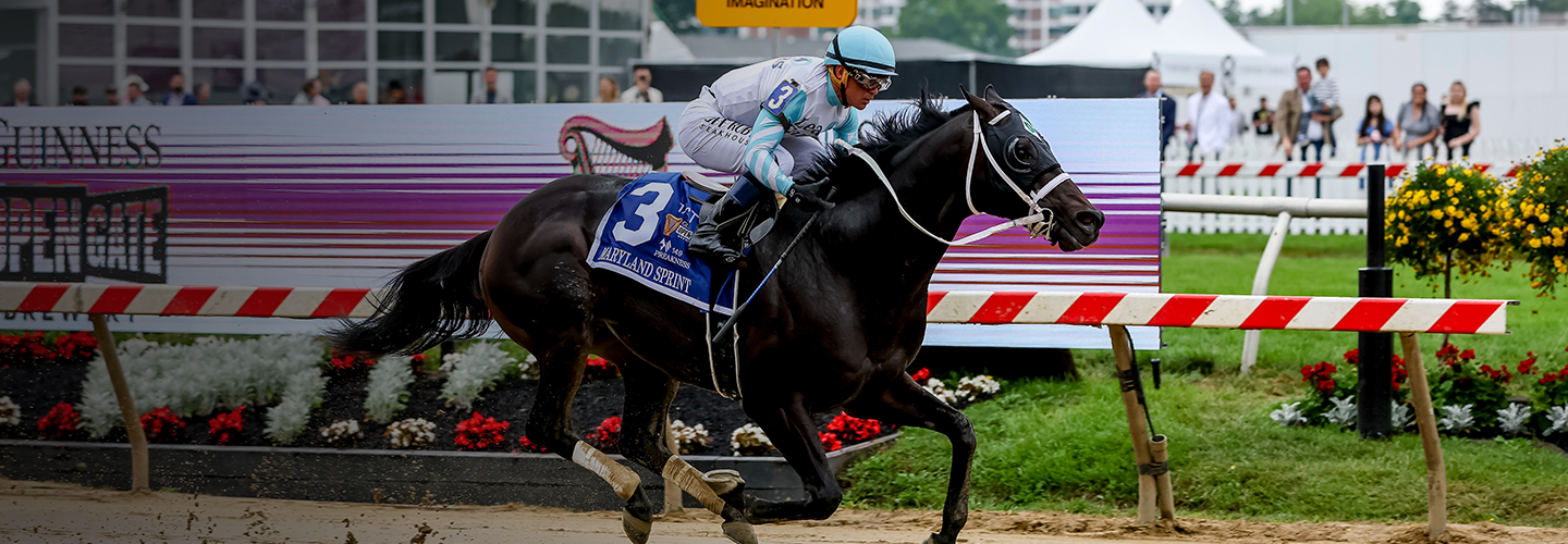 SUPER CHOW SHINES IN MARYLAND SPRINT