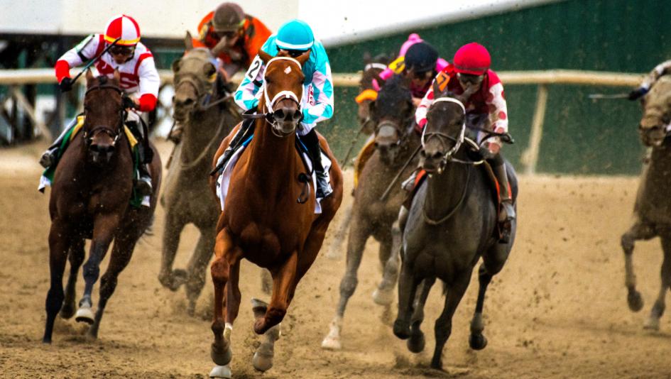 Using History to Handicap the 2019 Cotillion Stakes