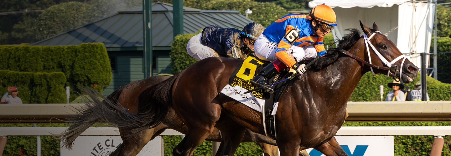 Historical Trends From Last 25 Years to Help Pick 2024 Breeders’ Cup ...