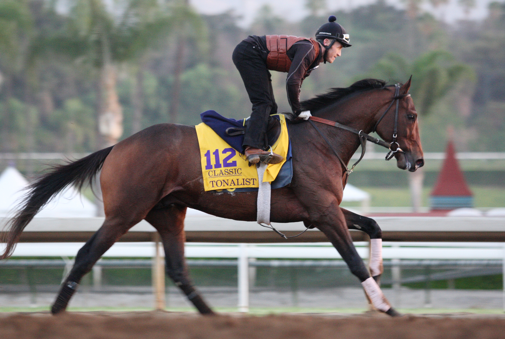 Breeders' Cup Connections: Former Jockey Lee Vickers Living for the ...