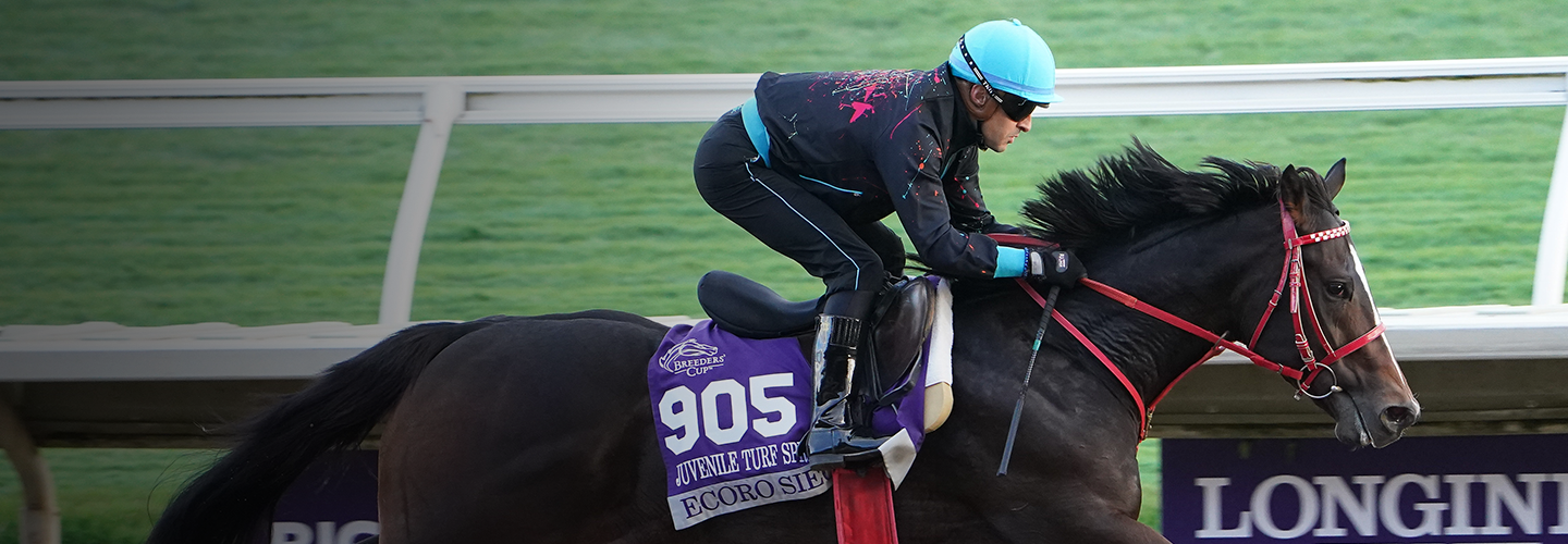 Future Stars Friday: A General Overview of the Juvenile Turf Races