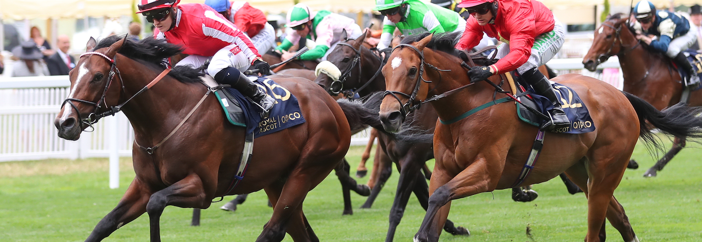 Highfield Princess Leads Al Basti Equiworld, Flying Five Stakes at The ...