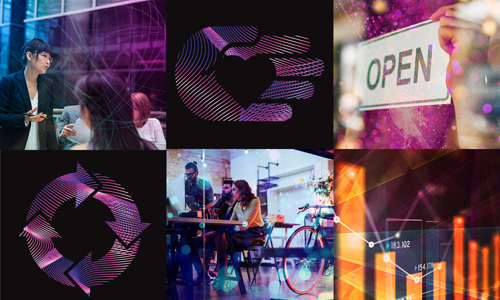 Entrepreneurial Guidance from HR Experts | TriNet