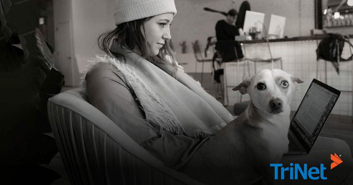 Connect 360 | HR Experts for Small to Medium Sized Businesses