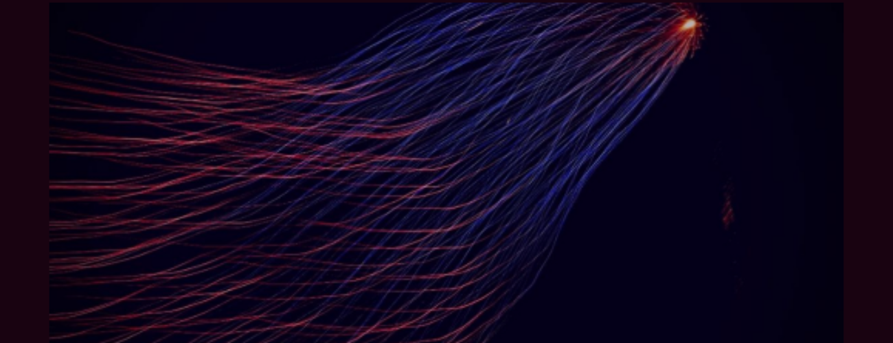 SentinelOne | Softchoice