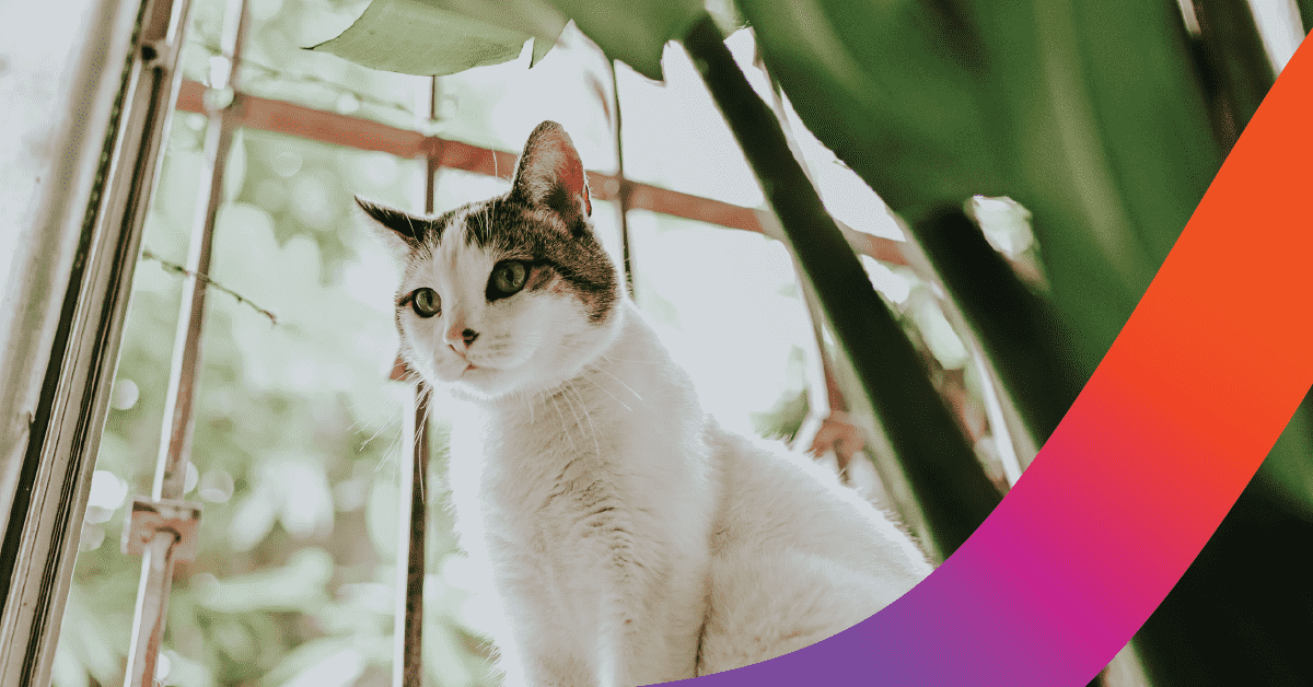 [Case Study] Cloud Migration w/ Guided Implementation | Softchoice