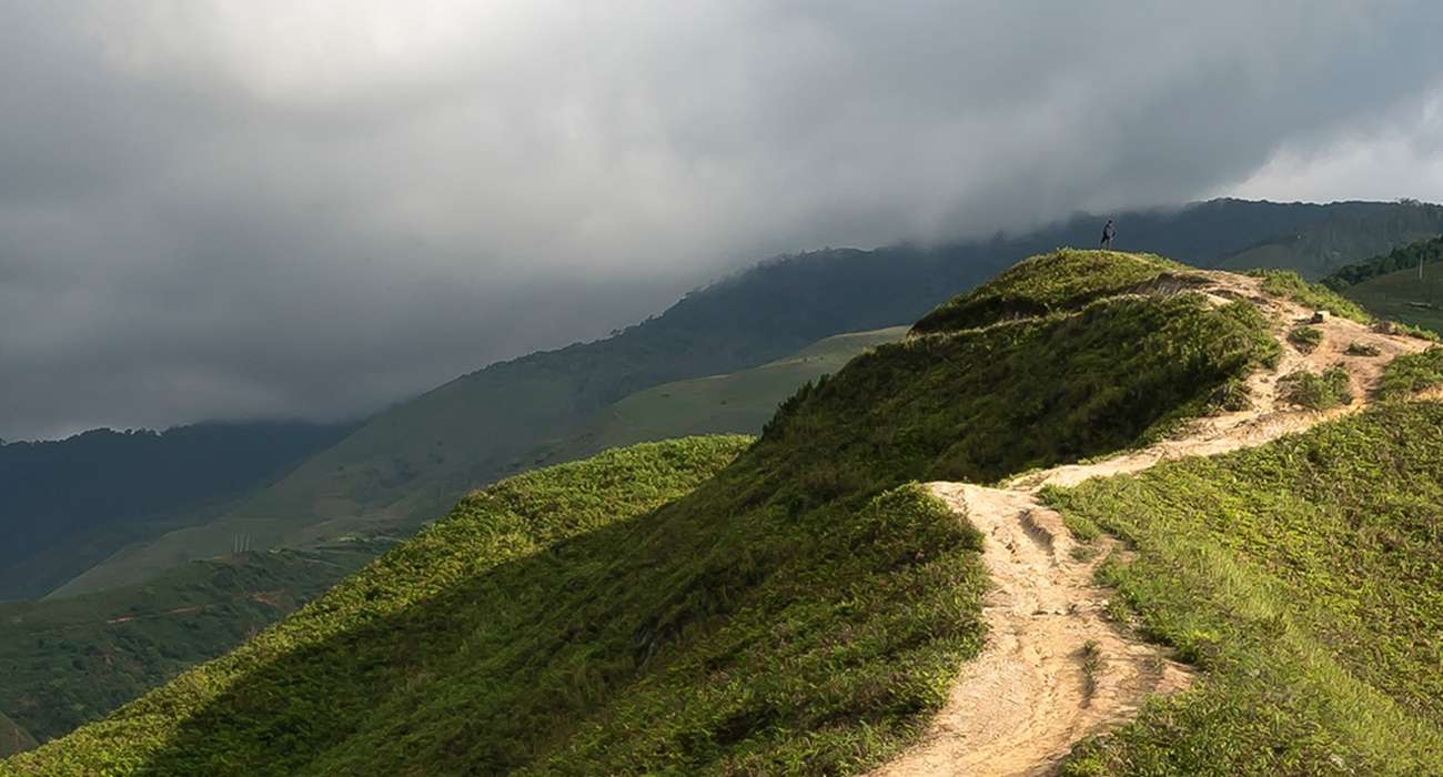 Digital Workplace Solutions | Softchoice