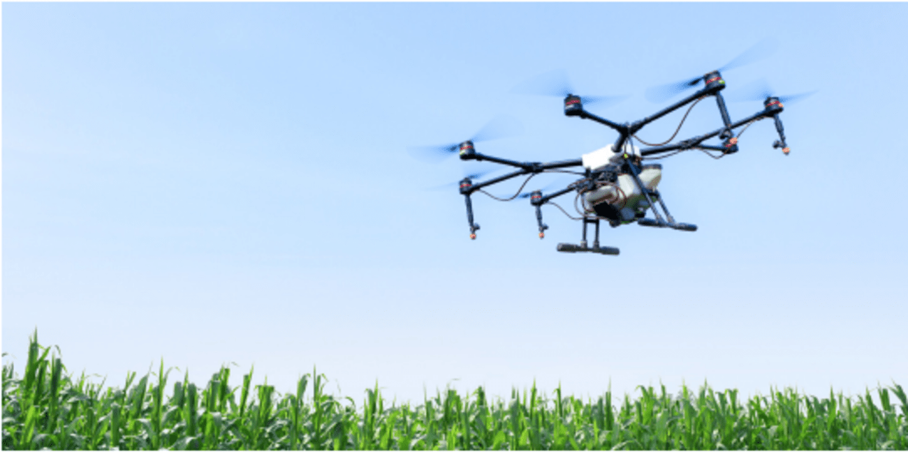 Trellix Endpoint Security Solutions | Softchoice