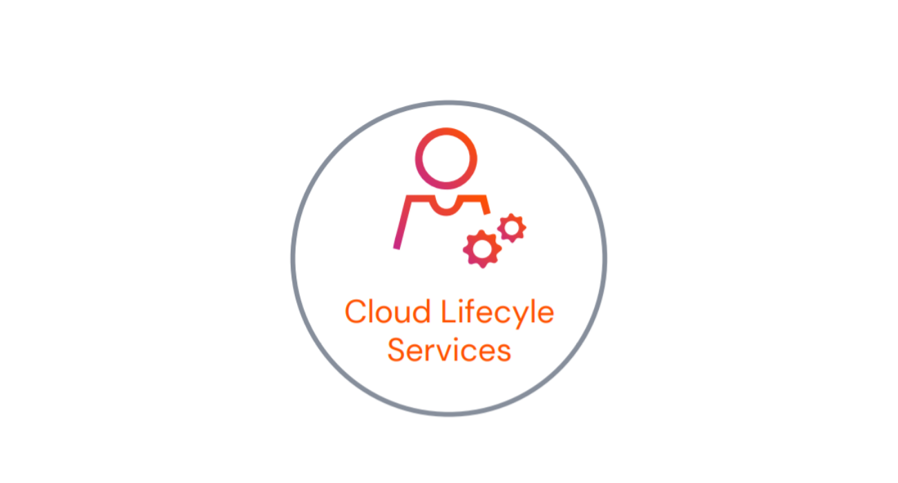 VMware Technology Partner | Softchoice