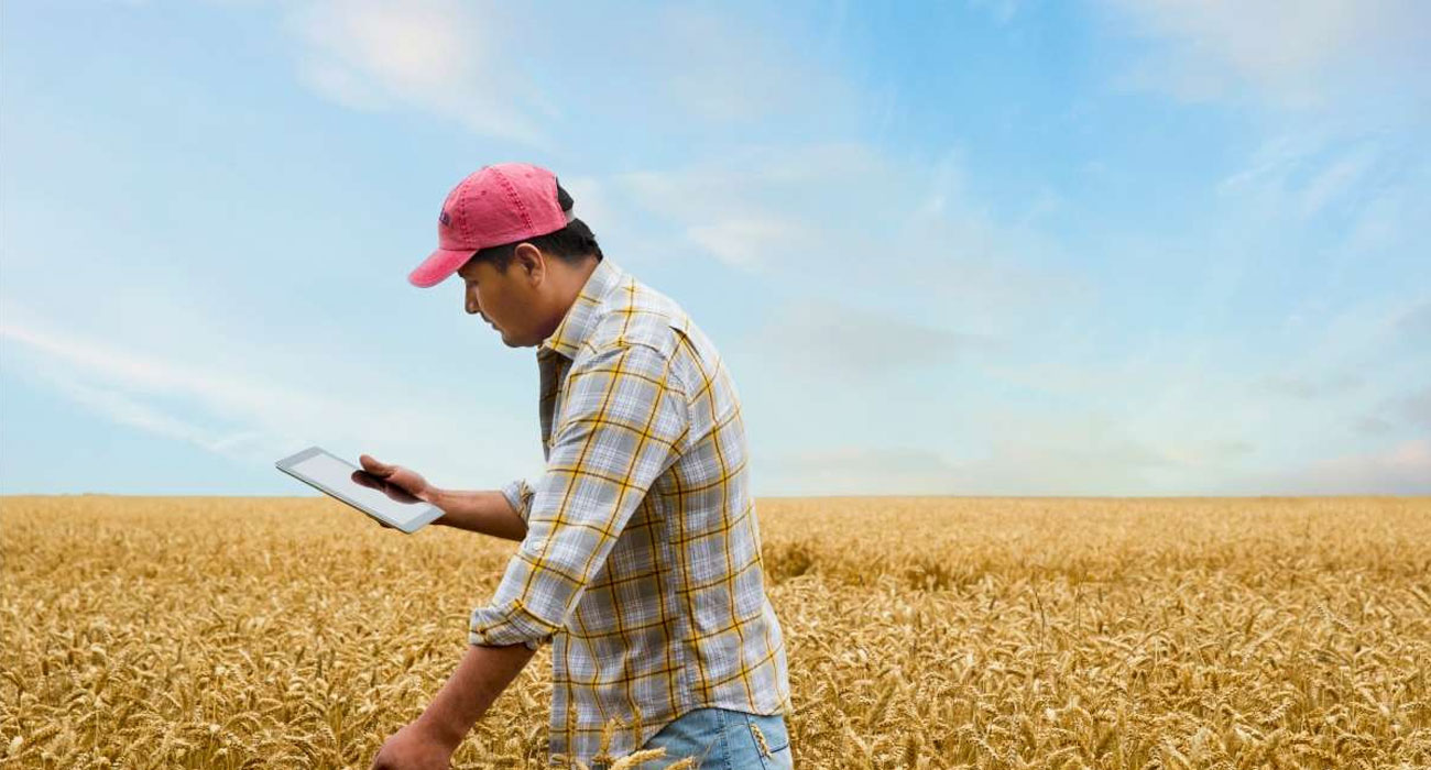 Softchoice: Success. Fully realized.