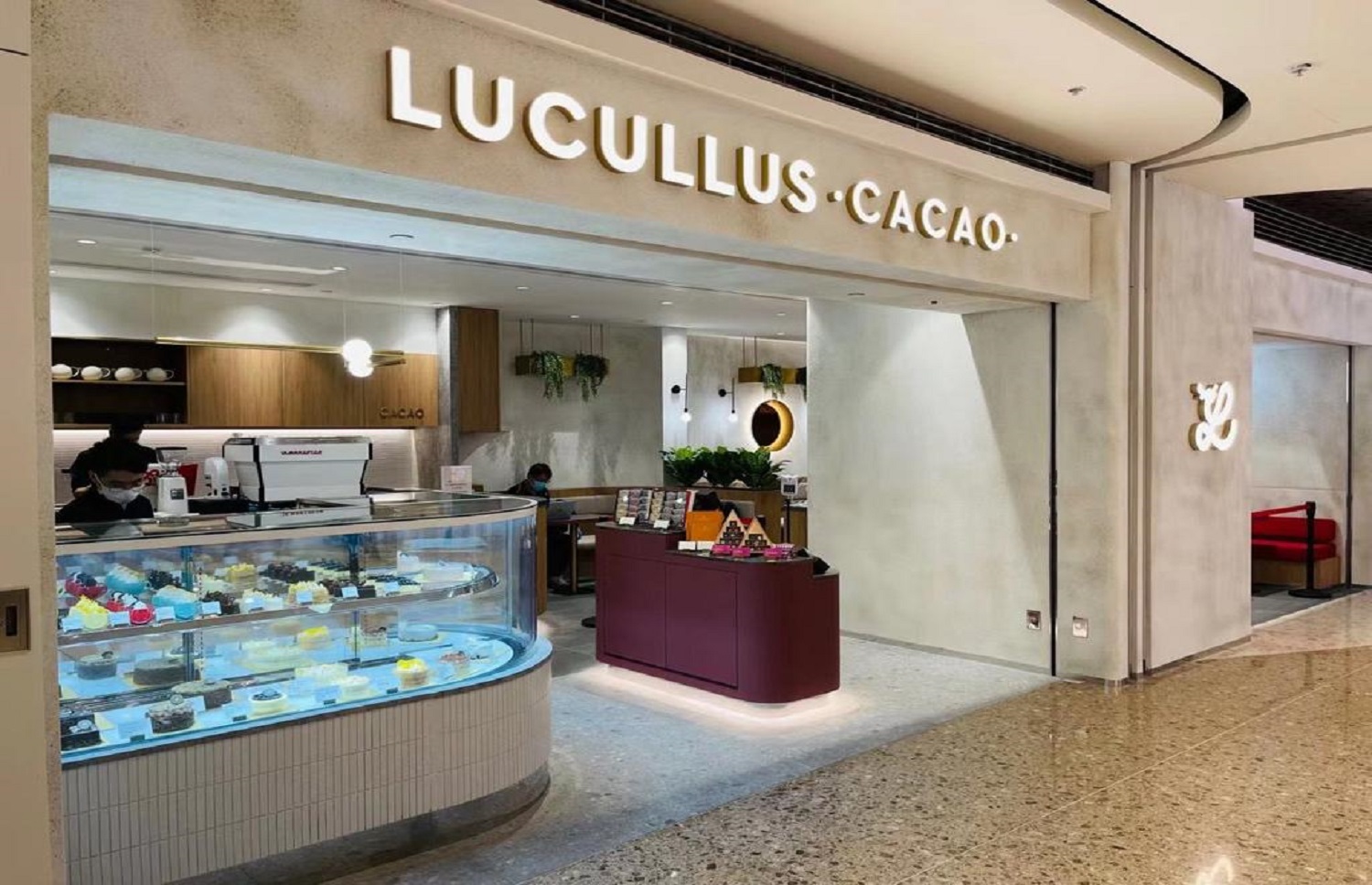 The LOHAS | Lucullus Cacao